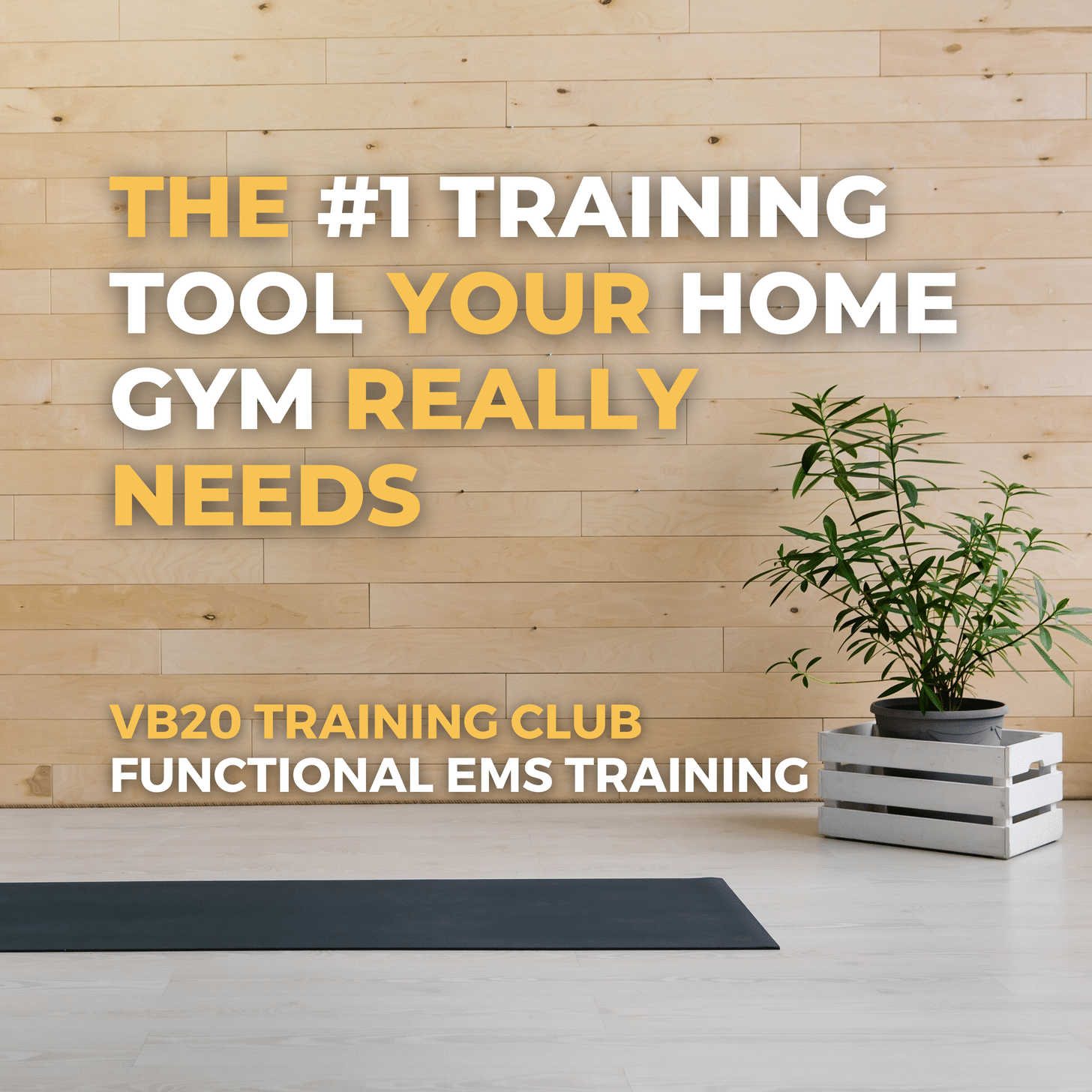 Issue #33: The #1 training-tool your home gym really needs - VBTec
